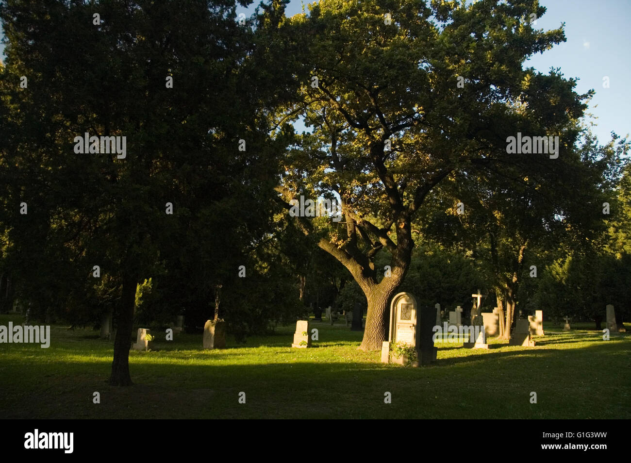 Religious cemetery with fresh green trees and grass Stock Photo - Alamy