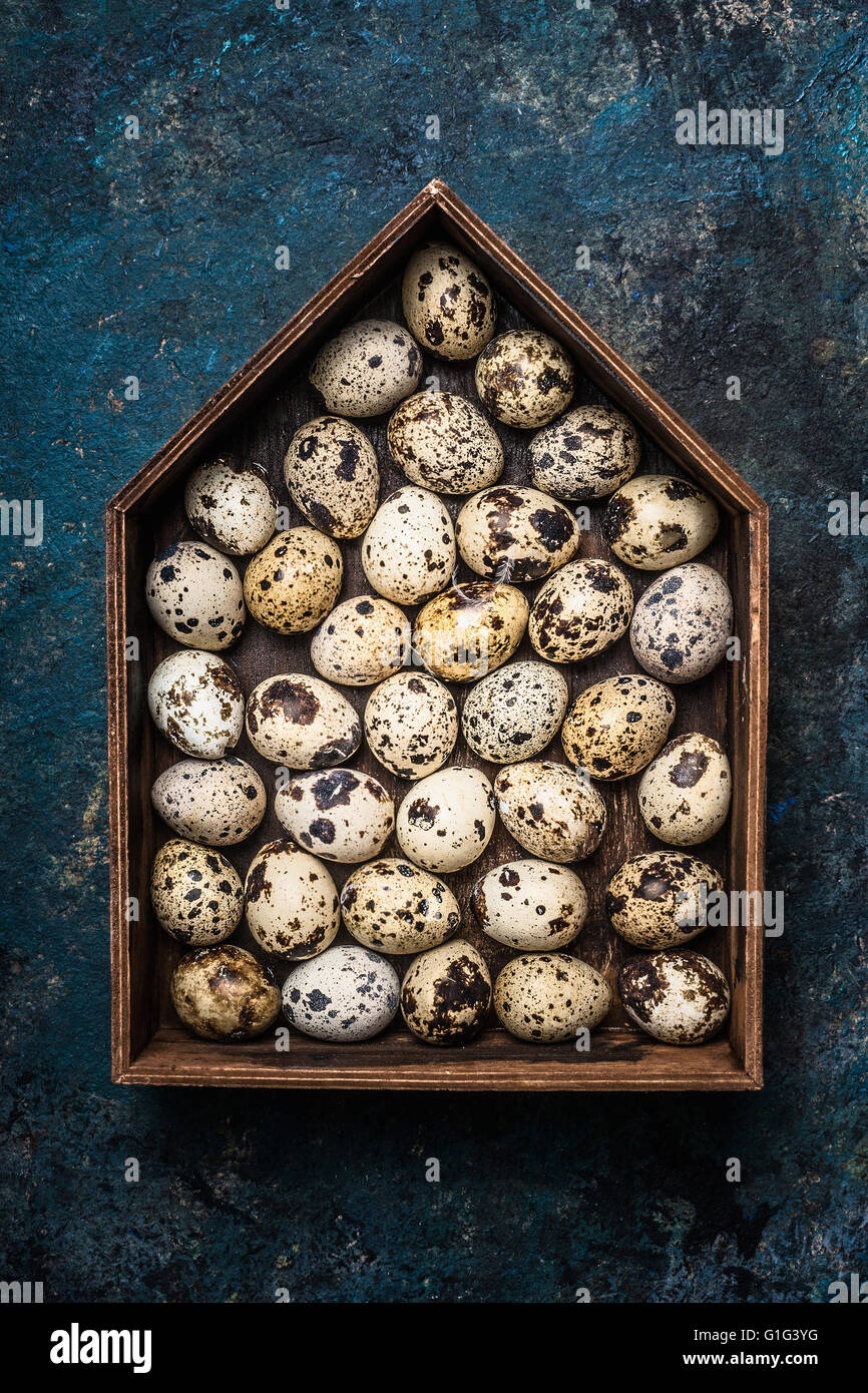 Quail eggs in rustic wooden box in form of house. Easter greeting card ...