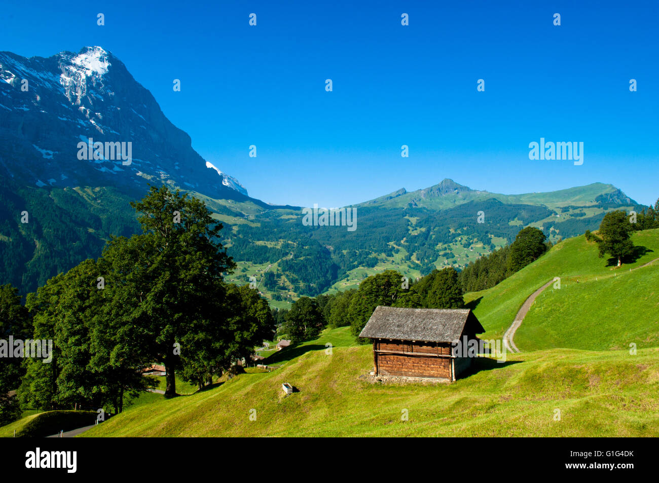 Swiss Alps - snow capped mountains and deep valleys, stunning view ...