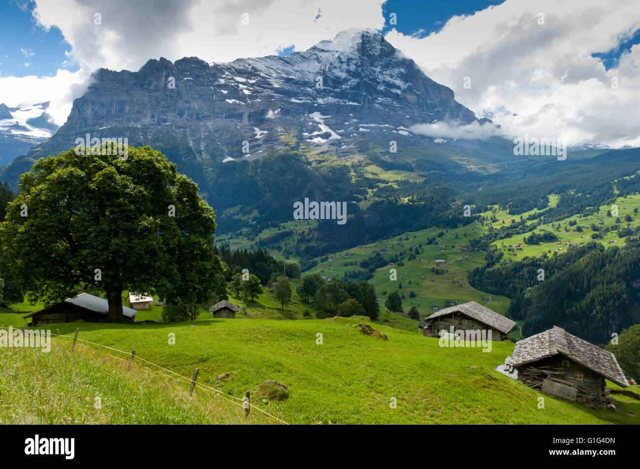 Swiss Alps - snow capped mountains and deep valleys, stunning view ...