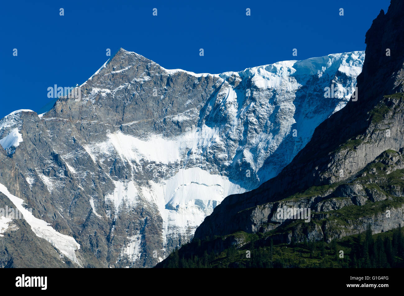 4000 meters high peaks in the Swiss mountains, Bernese Alps, Berner ...