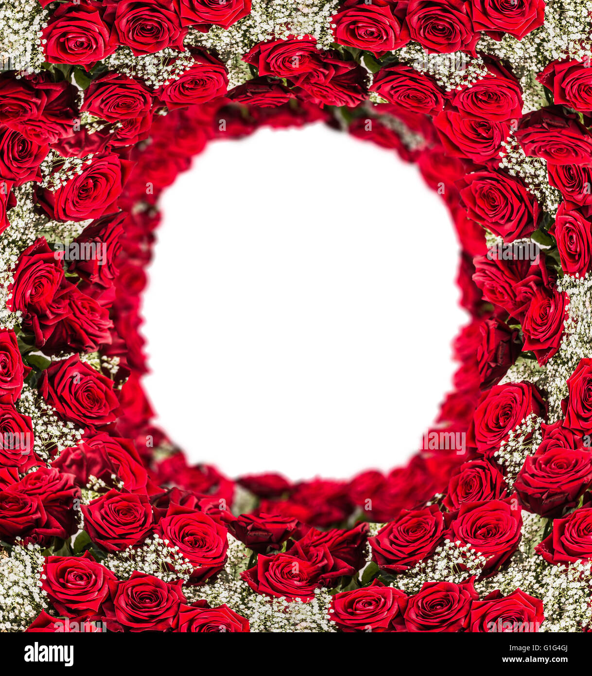 Red roses frame, isolated on white background Stock Photo - Alamy