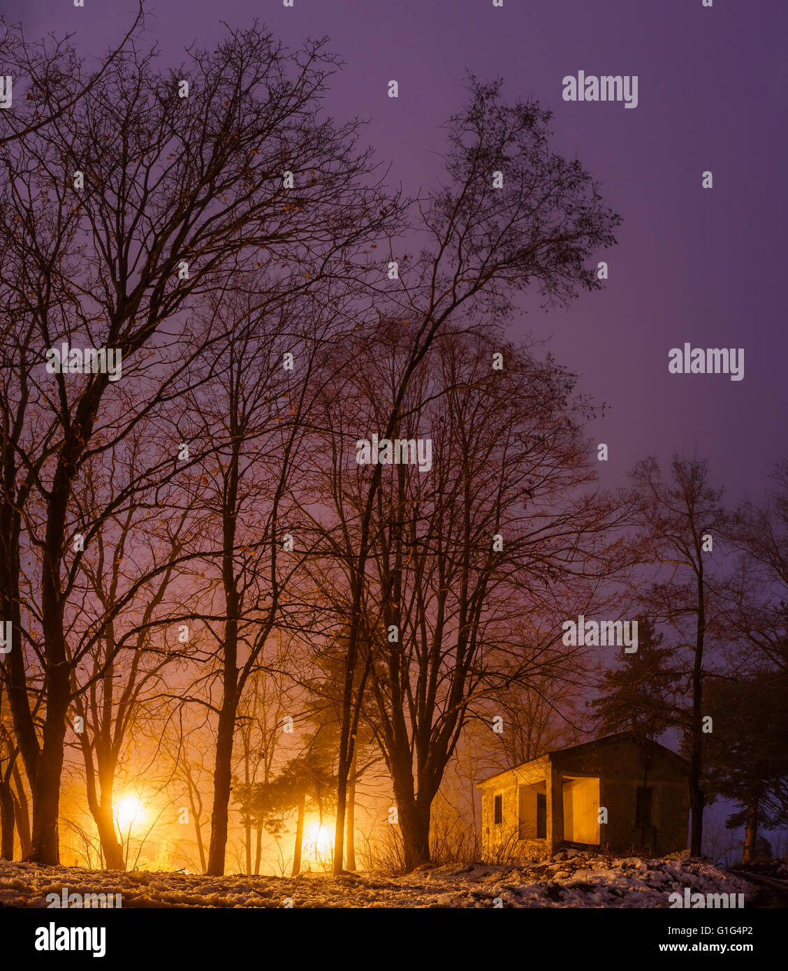 Beautiful warm light and shadows in sundown with trees, winter scene in ...