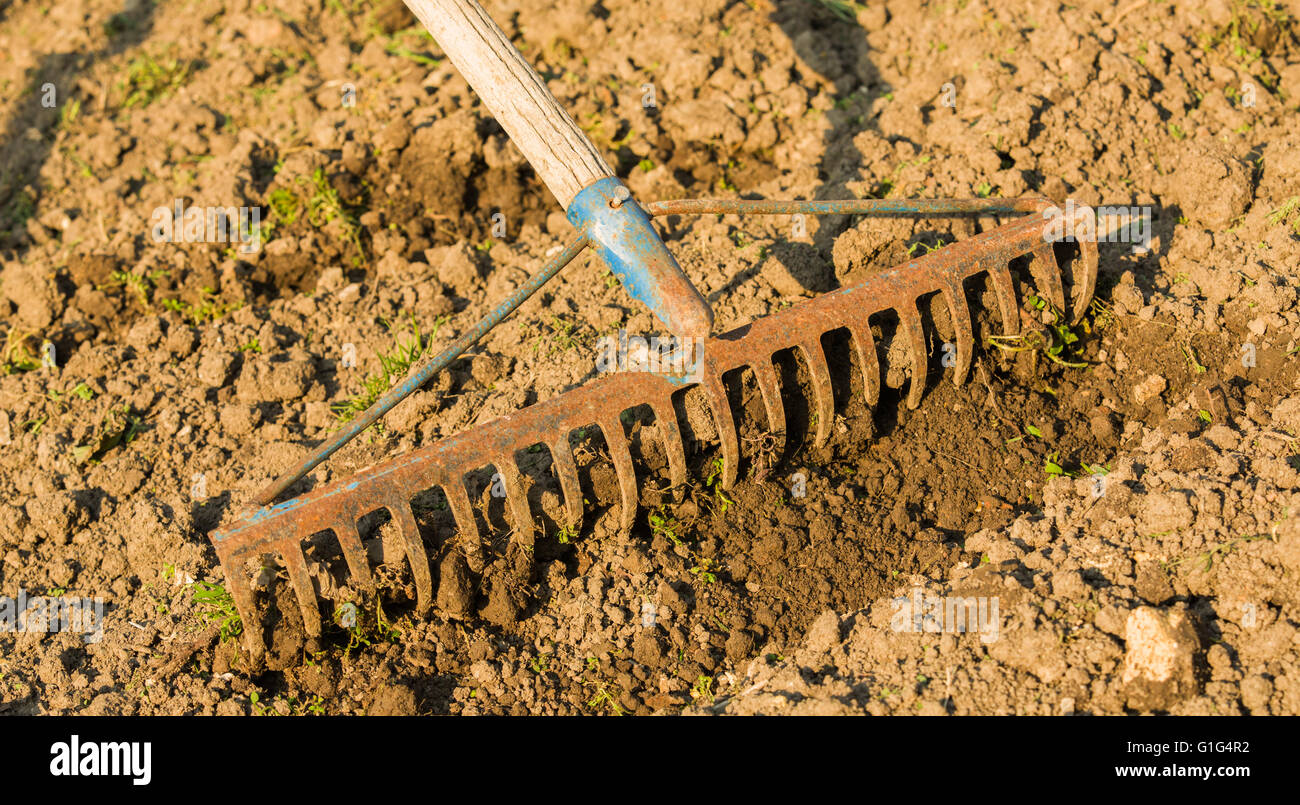Garden rakes hi-res stock photography and images - Alamy