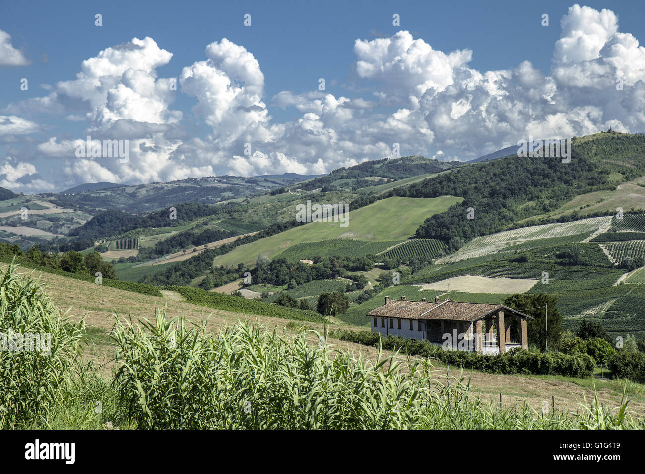 Classic and beautiful Tuscany rural landscape, Italy Stock Photo - Alamy
