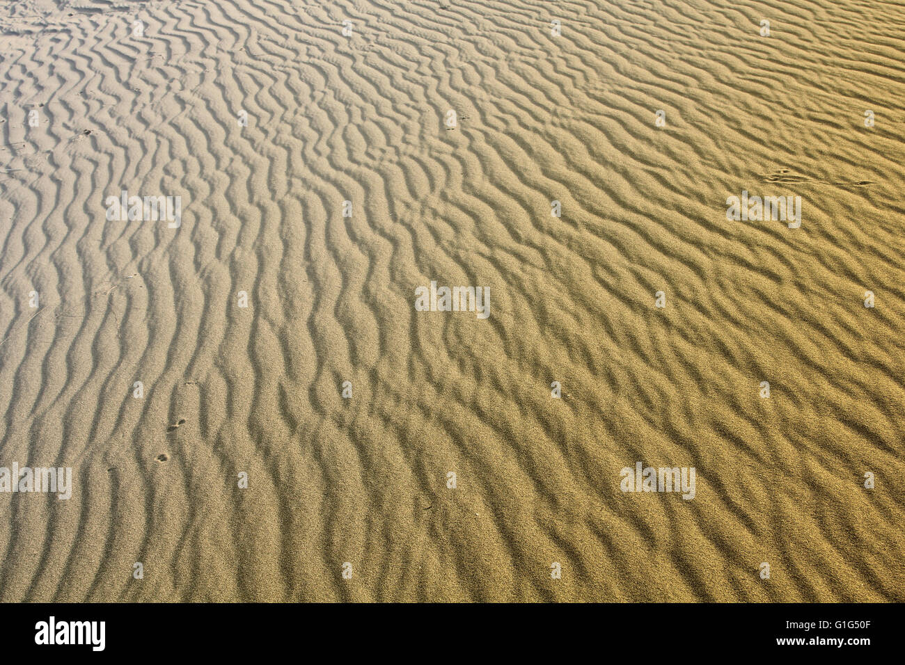 Empty sand desert in central Iran Stock Photo - Alamy