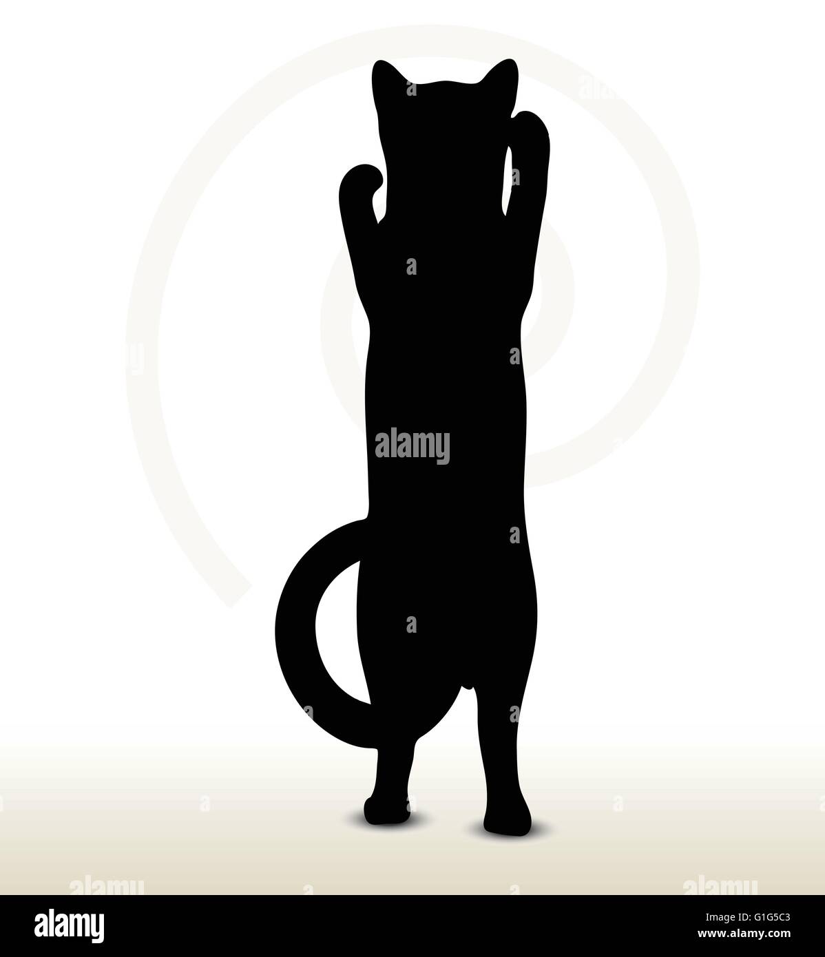 illustration of cat silhouette isolated on white background - in boxing ...