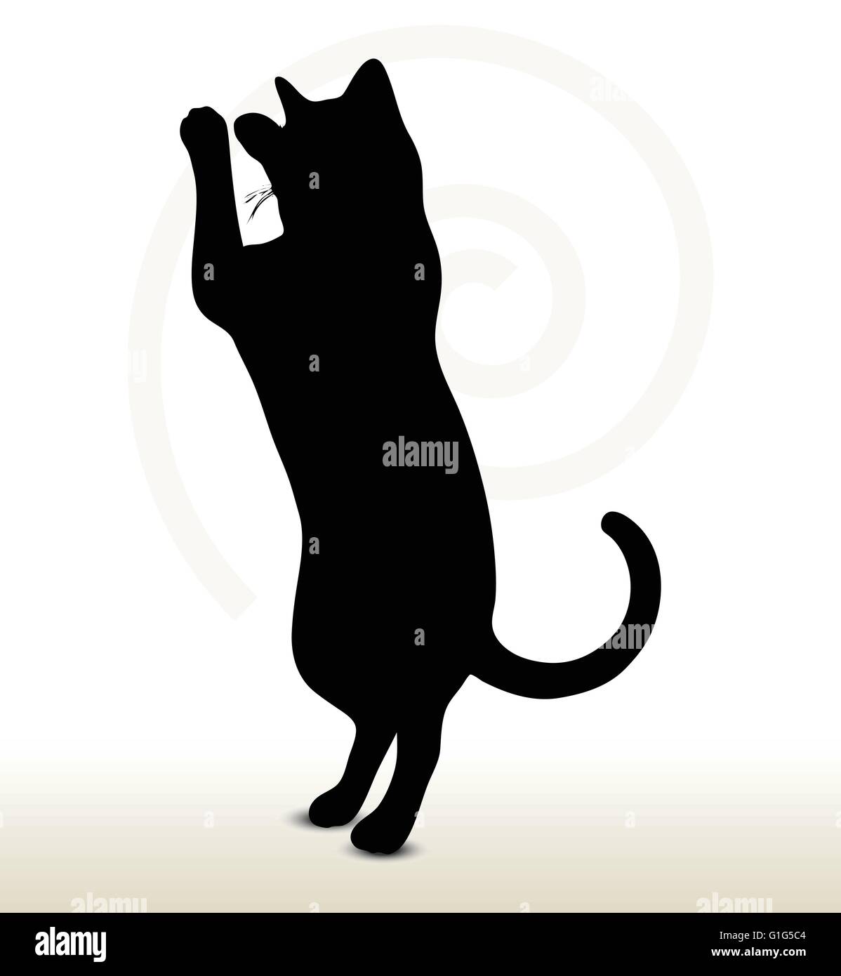 illustration of cat silhouette isolated on white background - in boxing ...