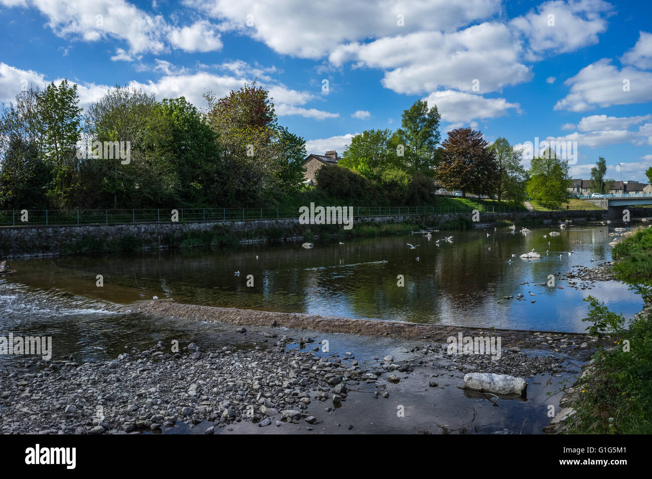 A wander around the River Kent near Kendal on a lovely sunny spring ...