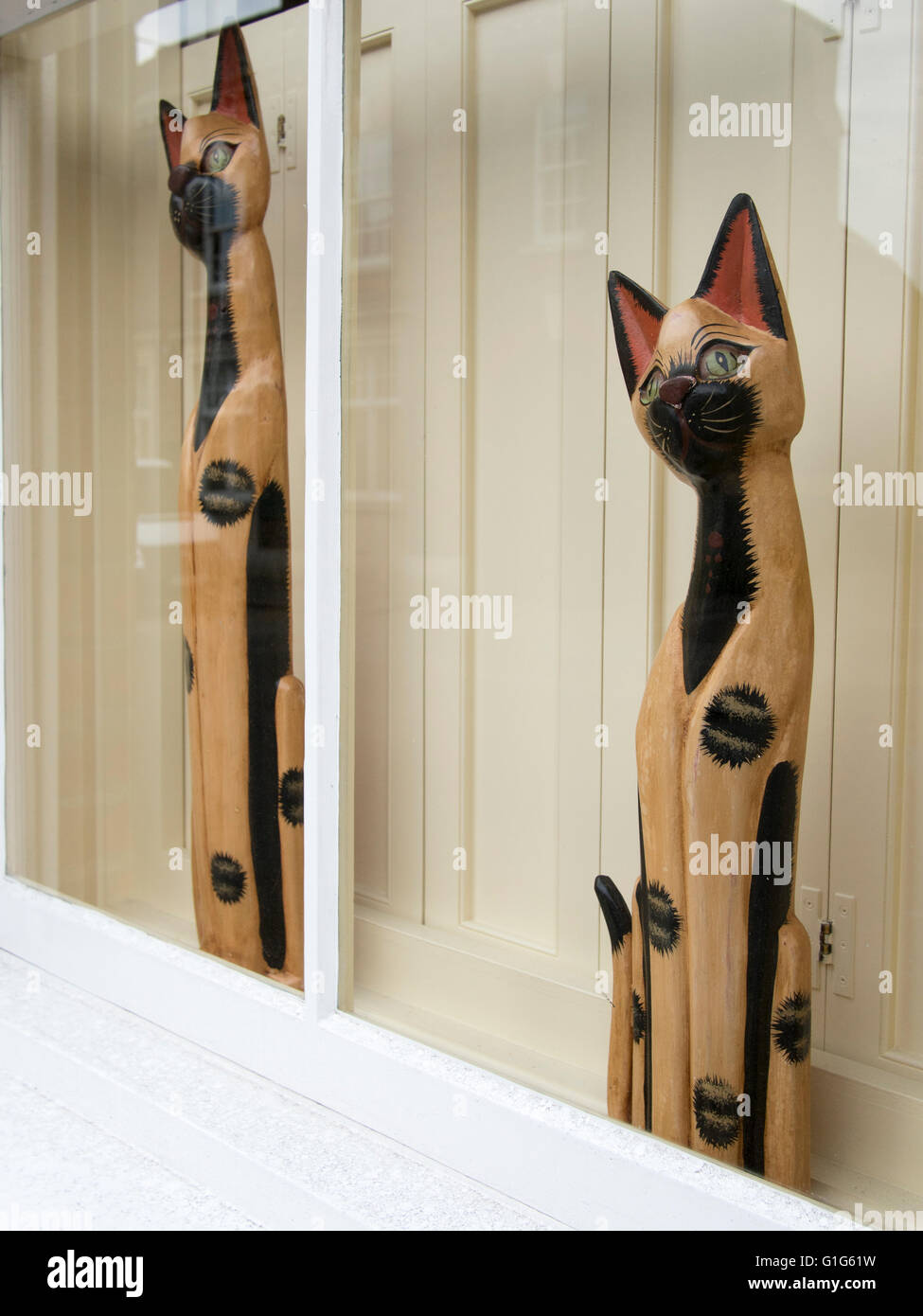 Cats on display hi-res stock photography and images - Alamy