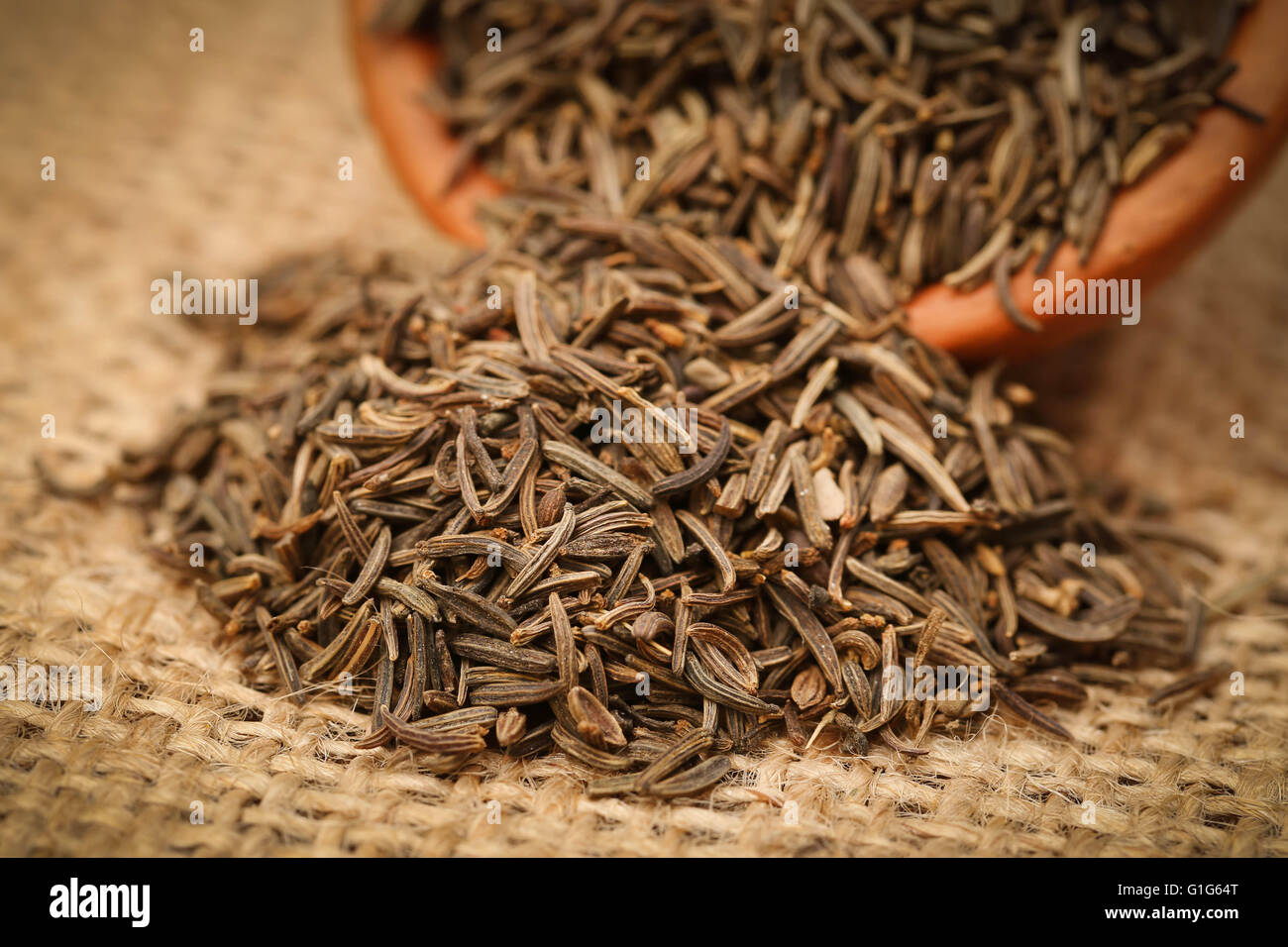 Caraway seed hi-res stock photography and images - Alamy