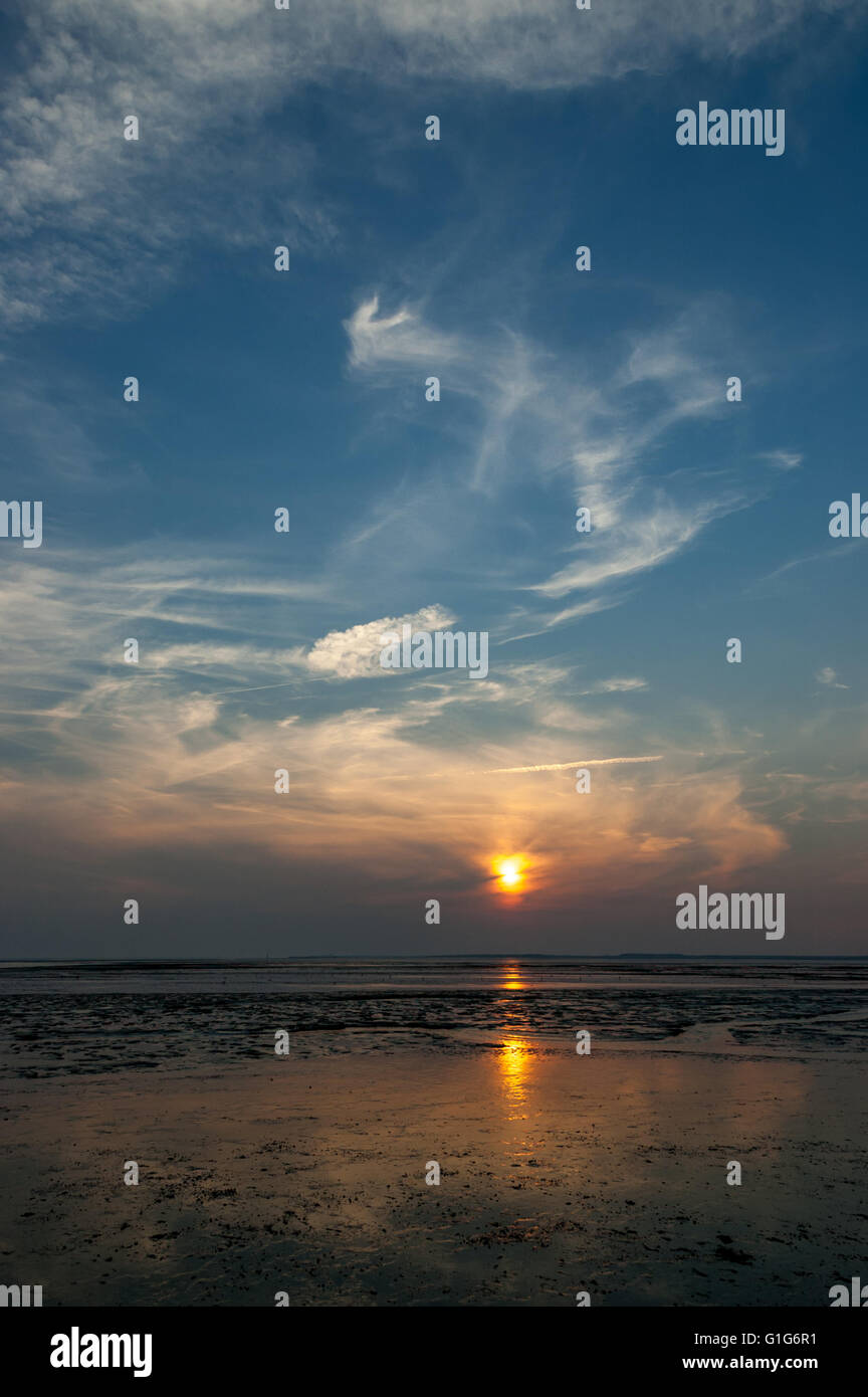 Wetlands of salt marshes and tidal flats at sunset. Wadden Sea at low ...