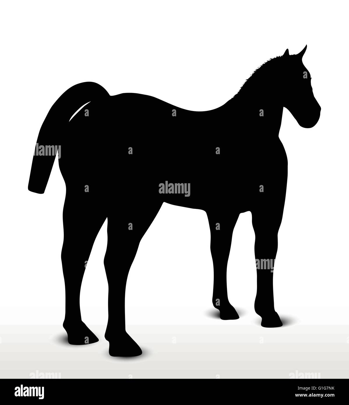 Horse standing still Stock Vector Images - Alamy
