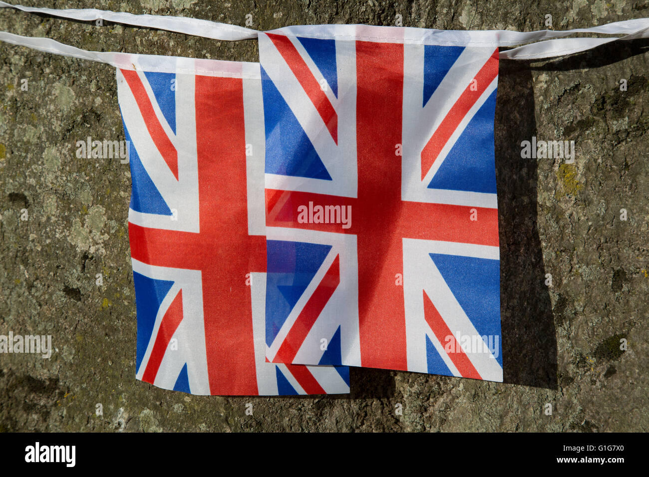 Two Union Jack Flags on Tree Background Stock Photo - Alamy