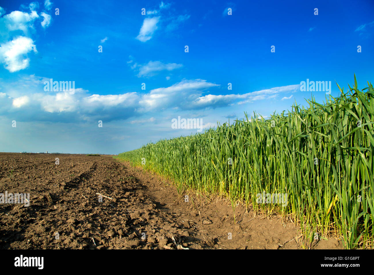 Arable land field agriculture hi-res stock photography and images - Alamy