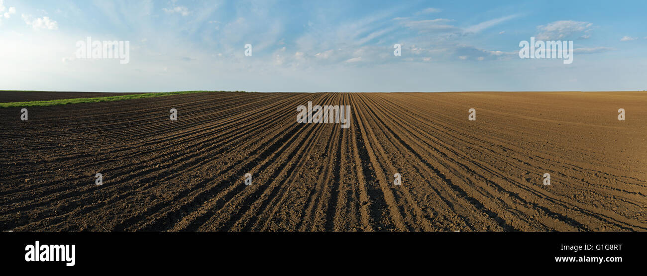 Arable land panorama Stock Photo - Alamy