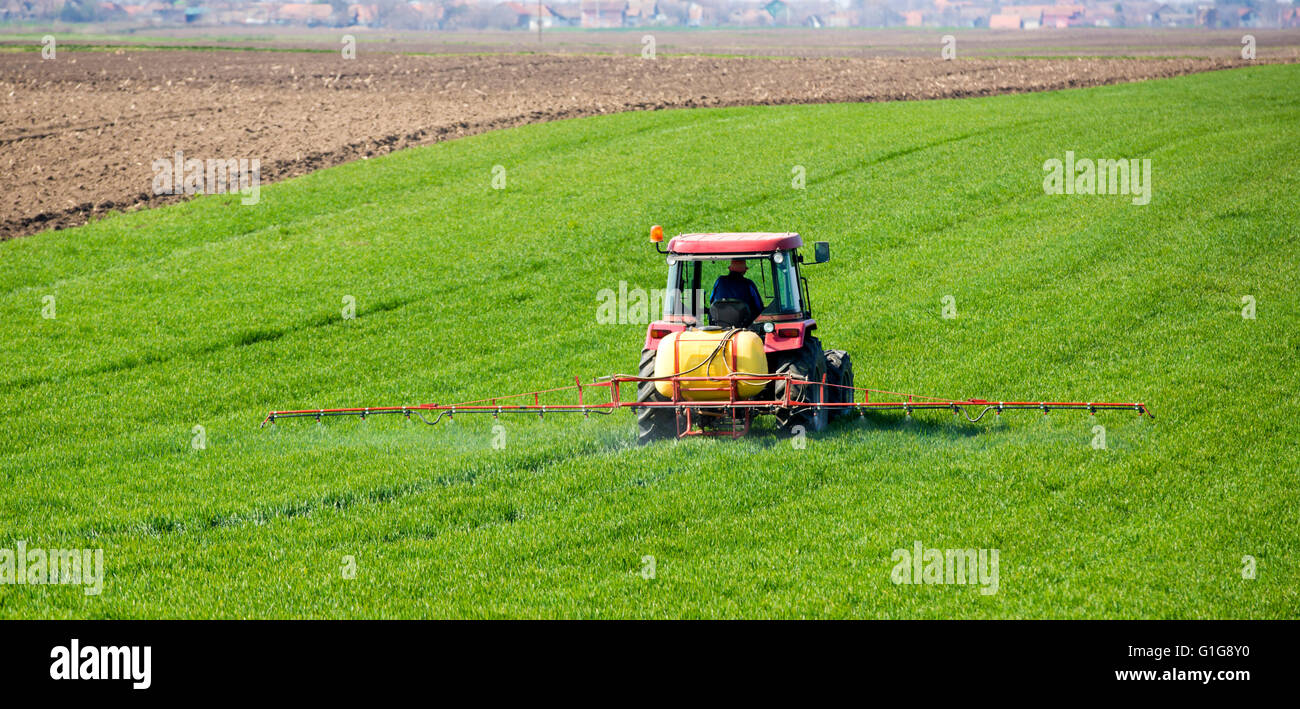 Tractor spraying wheat field with sprayer, herbicides and pesticides ...