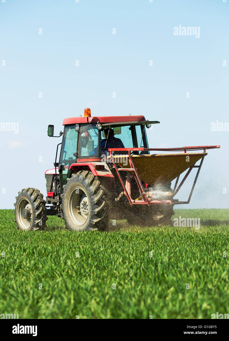 Farmer fertilizing wheat field with nitrogen Stock Photo - Alamy
