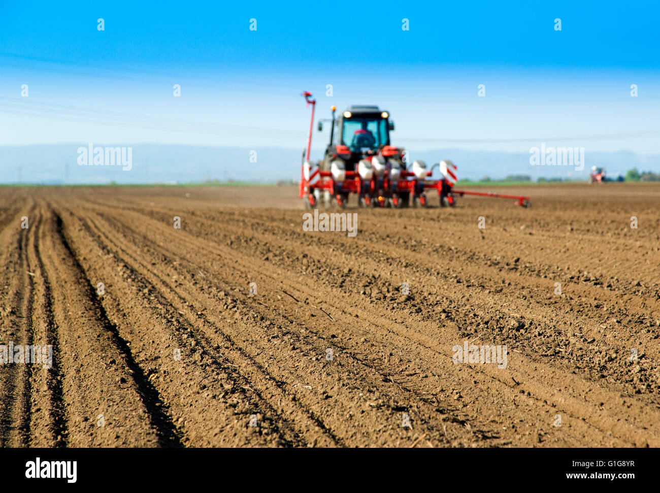 Farmer Scattering Seed High Resolution Stock Photography and Images - Alamy