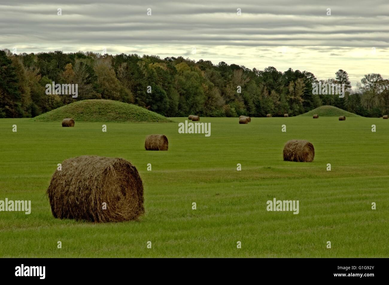 Field and hail bale along the Natchez Trace in Mississippi Stock Photo ...