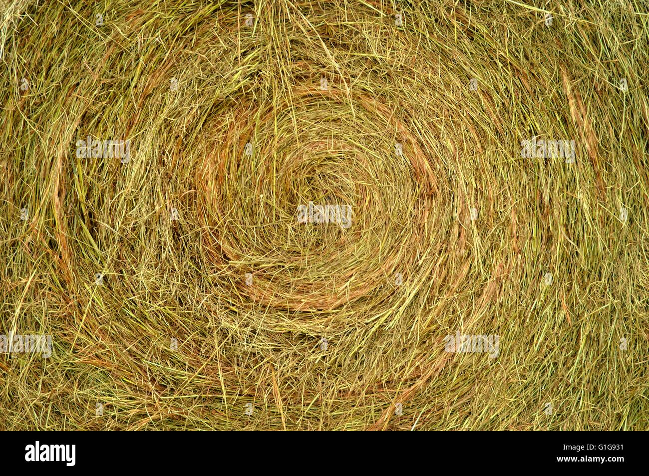 Along natchez trace in hi-res stock photography and images - Alamy