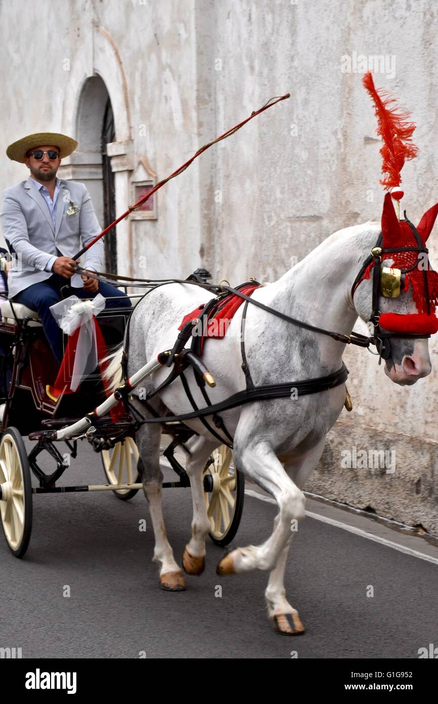 Man being pulled by horse drawn carriage Stock Photo - Alamy