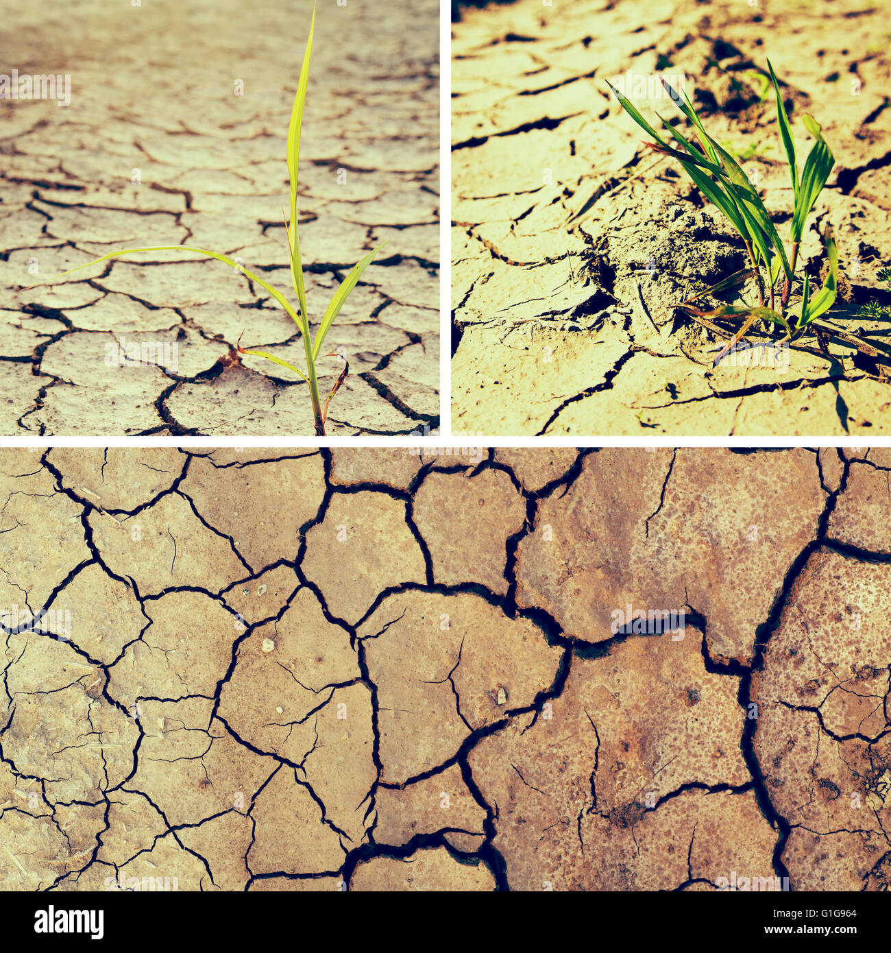 Natural Disaster Collage