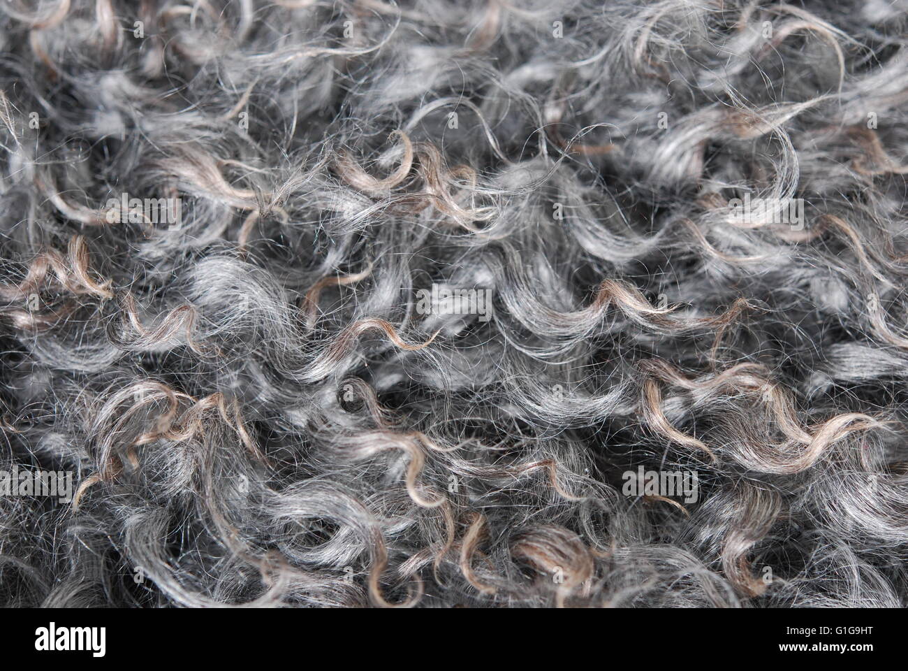 Texture grey wool in macro Stock Photo - Alamy