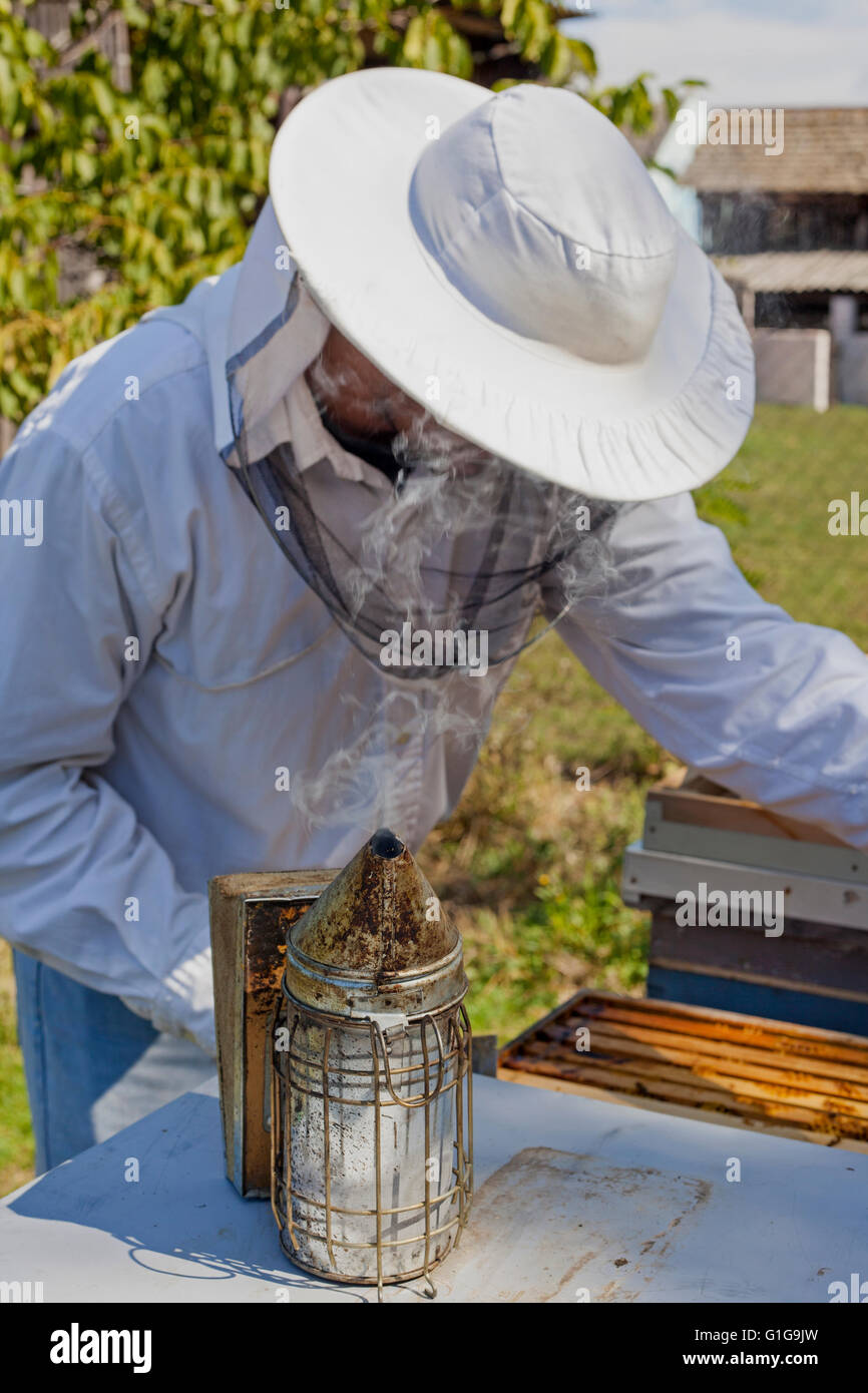 Young beekeeper hi-res stock photography and images - Alamy