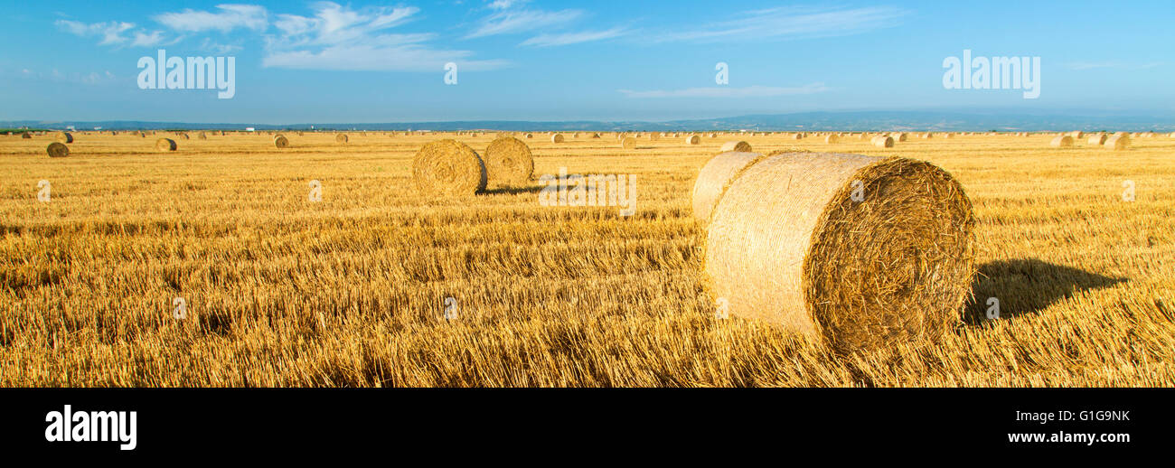 Roll roll wheat crop wheat hi-res stock photography and images - Alamy