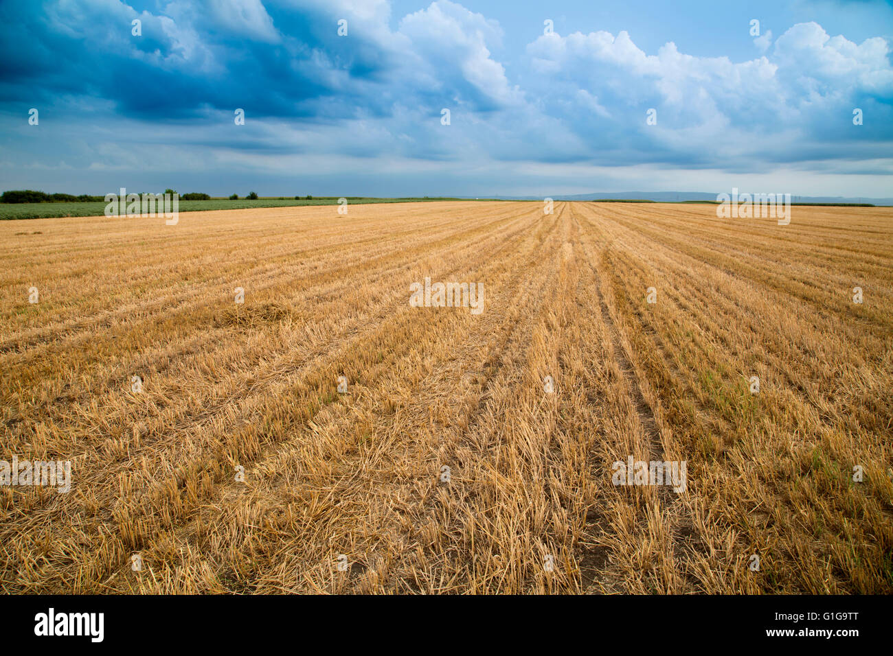 Farmland stubble wheat hi-res stock photography and images - Alamy