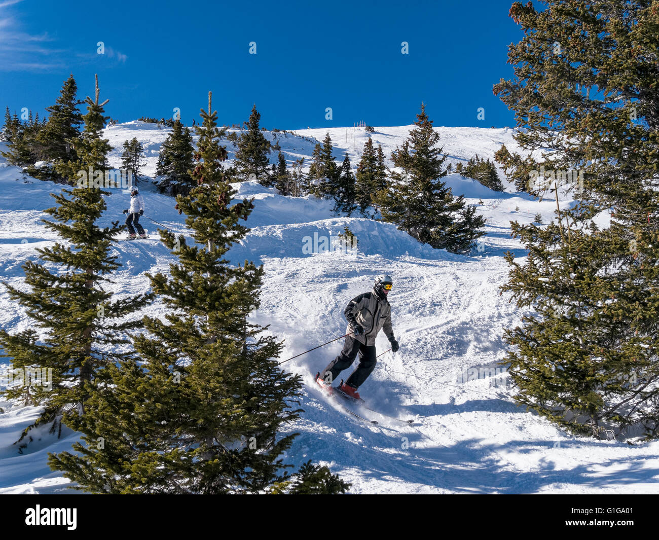 Trees and moguls in the Elysian Fields, Peak 6, Breckenridge Ski Area ...
