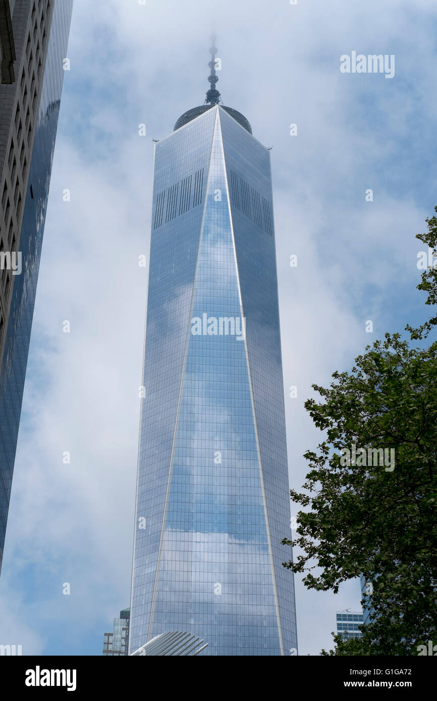 Atmospheric image of the World Trade Centre with part of a tree in ...