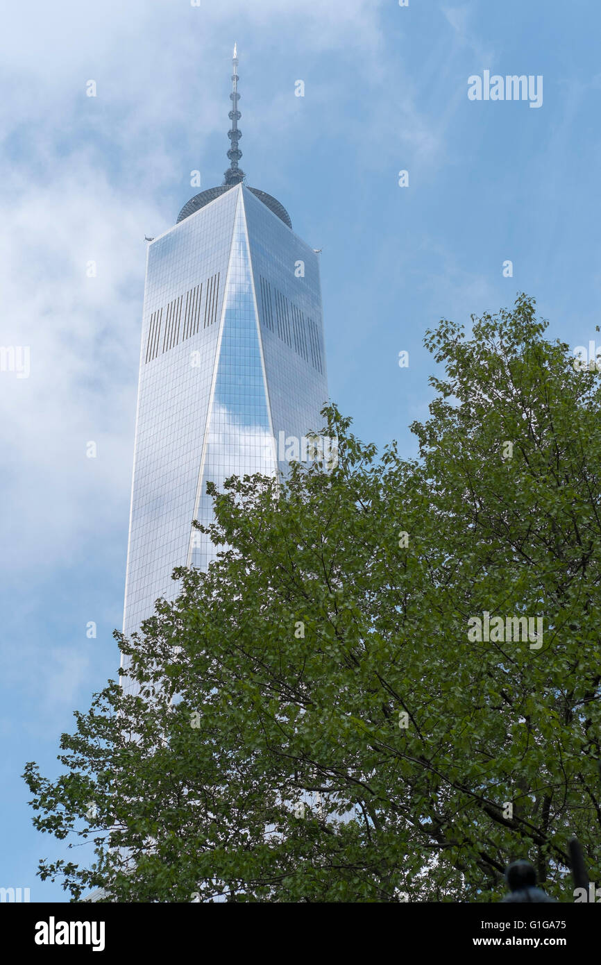Atmospheric image of the World Trade Centre with part of a tree in ...