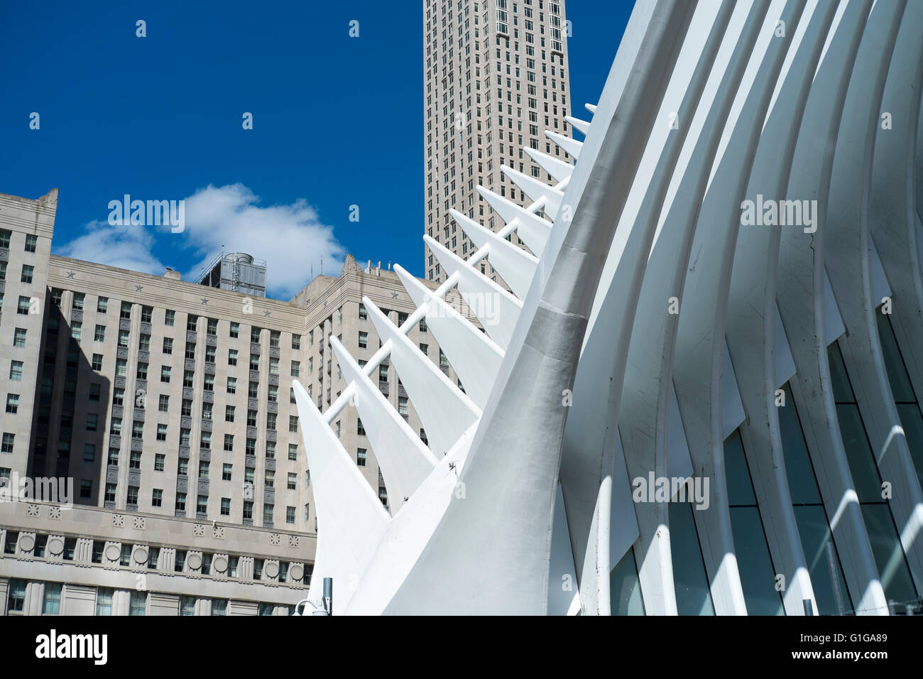 Brilliant white detail of the World Trade Center Transportation Hub ...