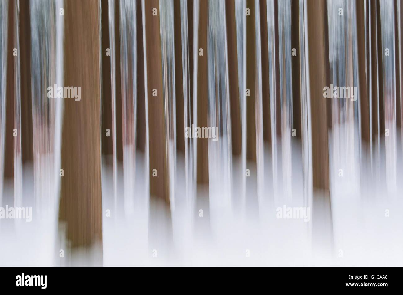 Panning plant hi-res stock photography and images - Alamy