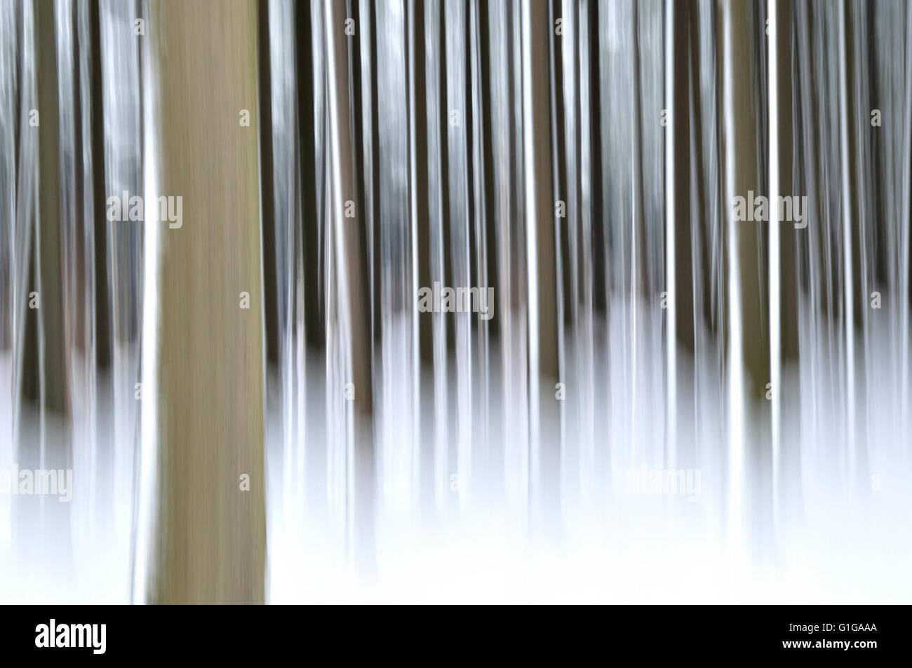 Panning plant hi-res stock photography and images - Alamy