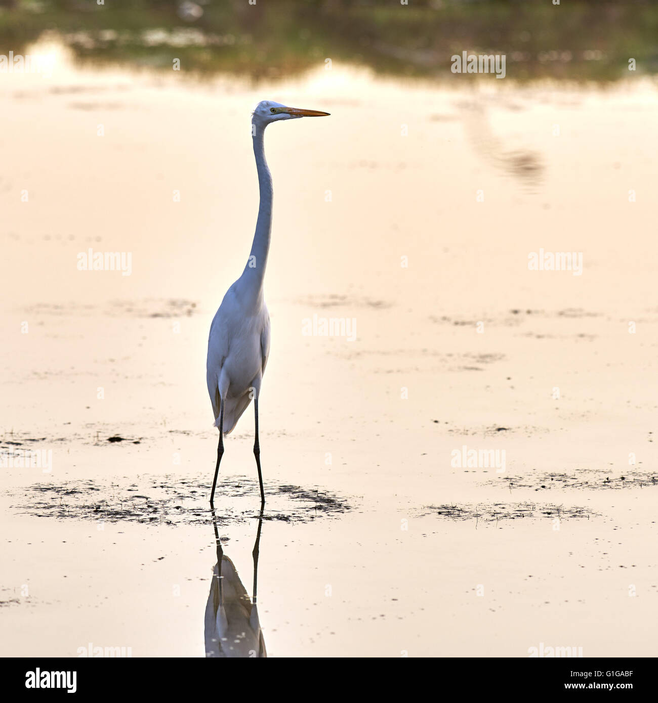 Erget hi-res stock photography and images - Alamy