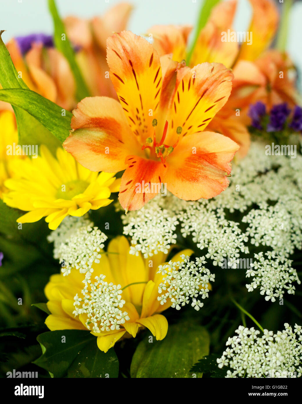 Mix bouquet hi-res stock photography and images - Alamy