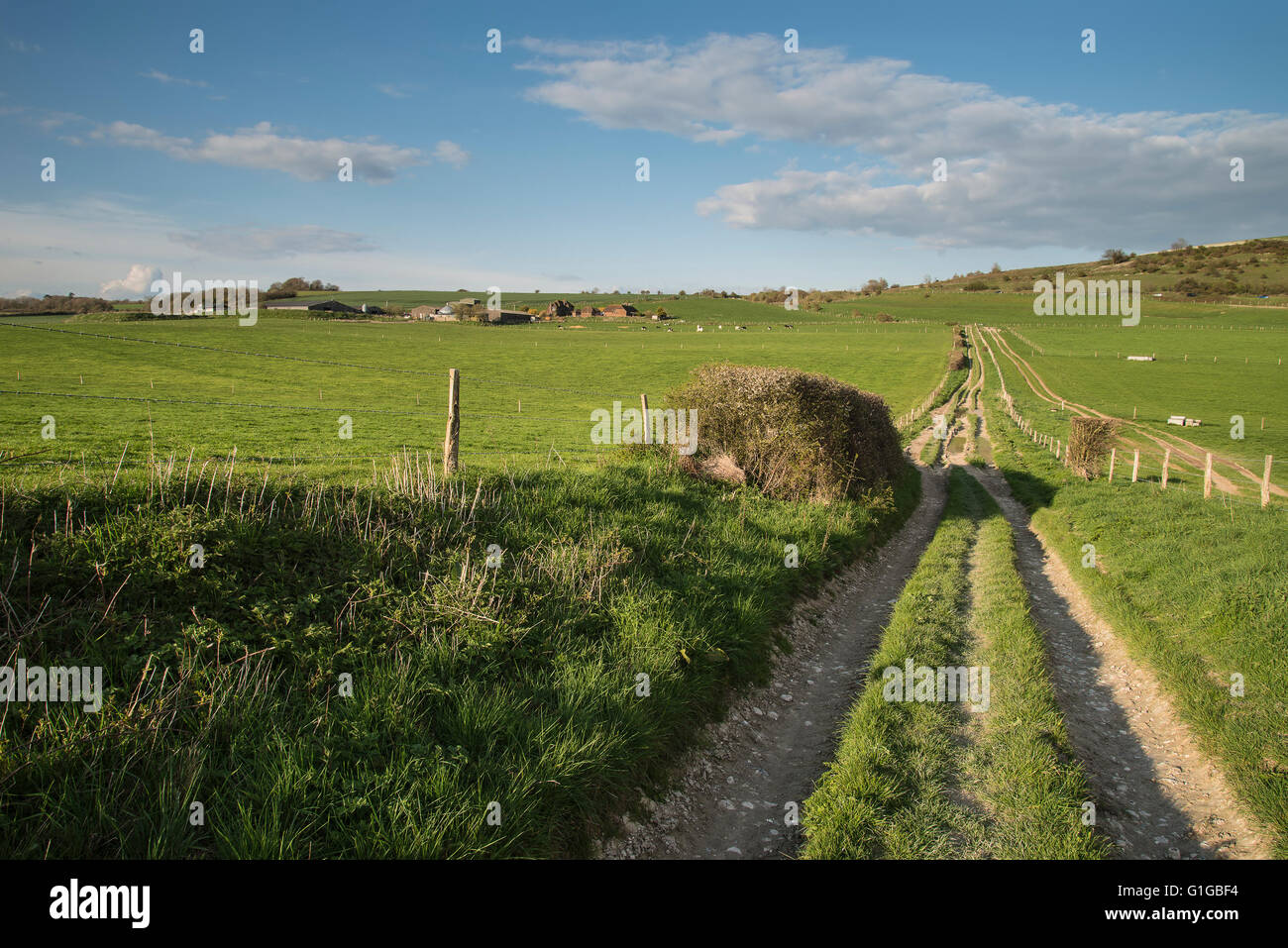 Stunning English countryside landscape over fields at sunset Stock ...