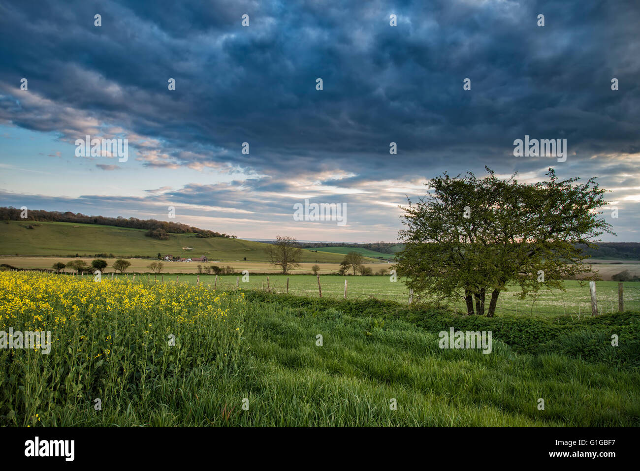 Stunning English countryside landscape over fields at sunset Stock ...