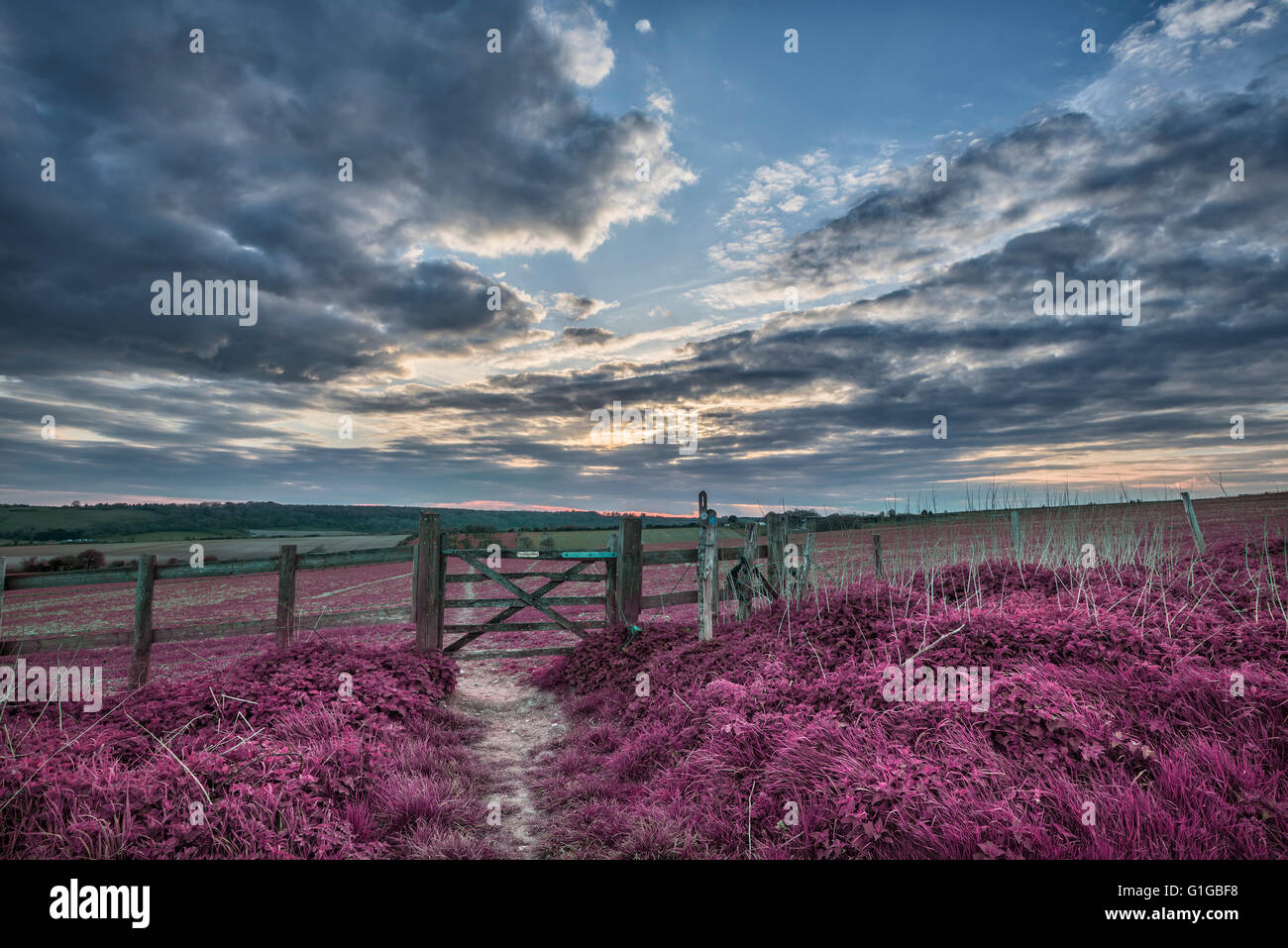 Stunning English countryside landscape over fields at sunset with ...