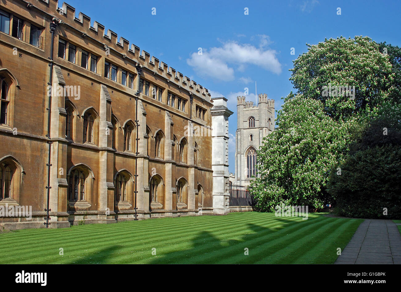 The Old School Building, Cambridge University Stock Photo - Alamy