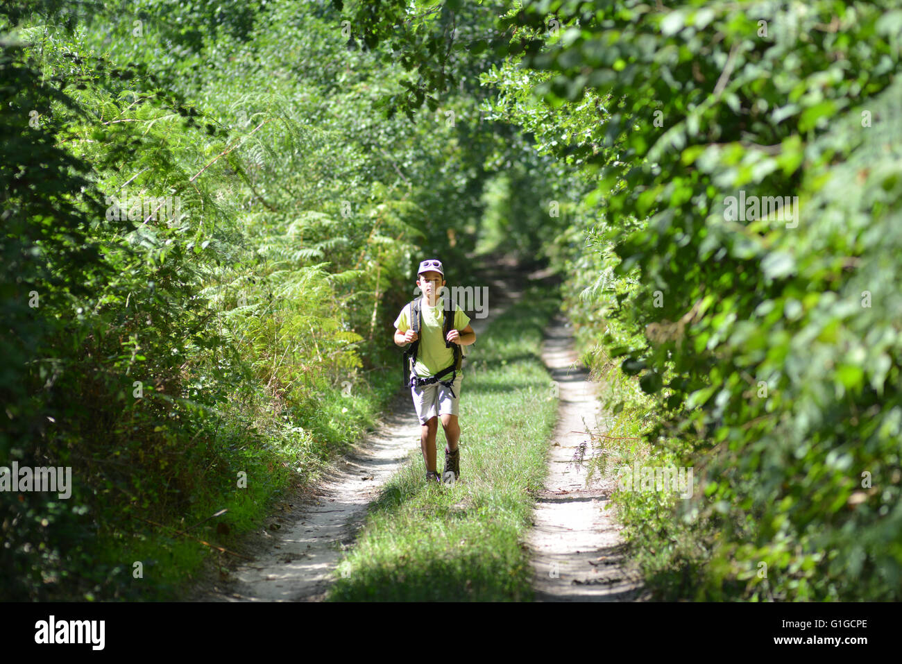 Little boy walking alone in forest, France Stock Photo - Alamy Little boy walking alone in forest, France Stock Photo - Alamy