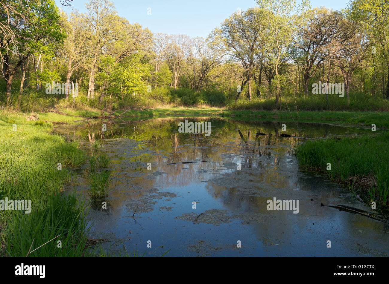 Minnesota spring hi-res stock photography and images - Alamy