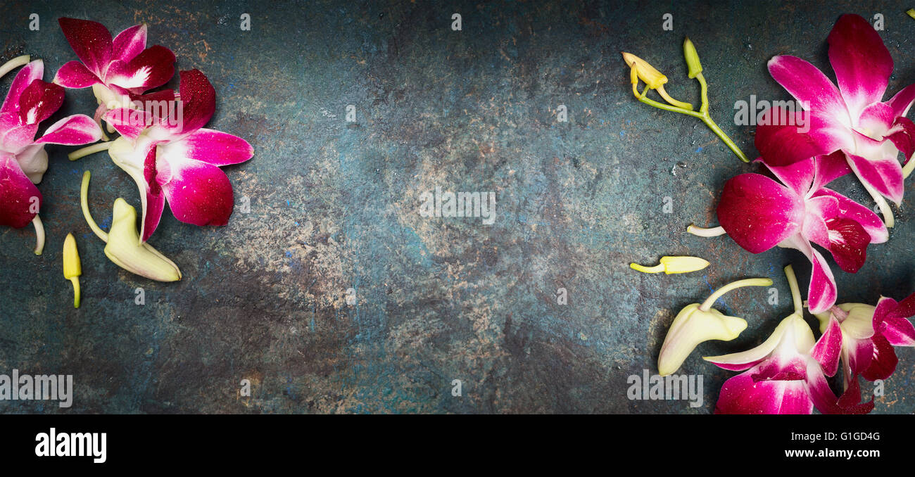 Website banner pink orchid flower hi-res stock photography and images ...
