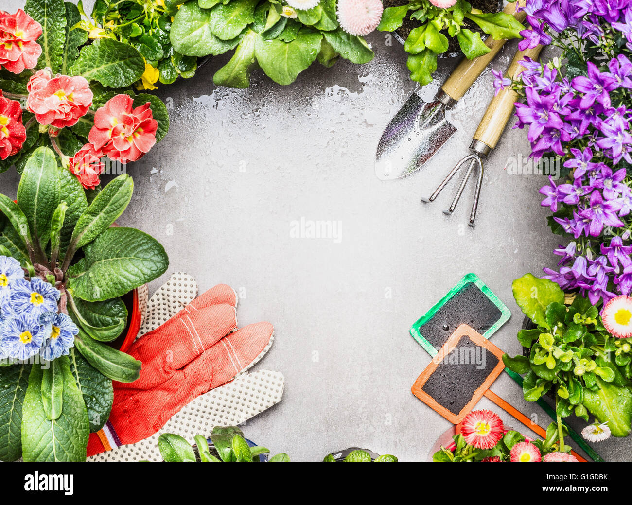 Lovely garden hi-res stock photography and images - Alamy