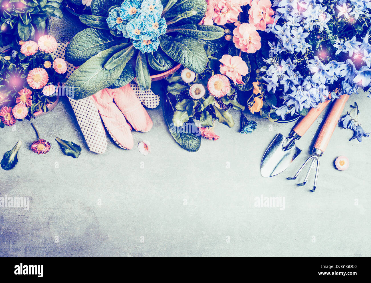 Lovely gardening border with assortment of garden flowers , work gloves ...