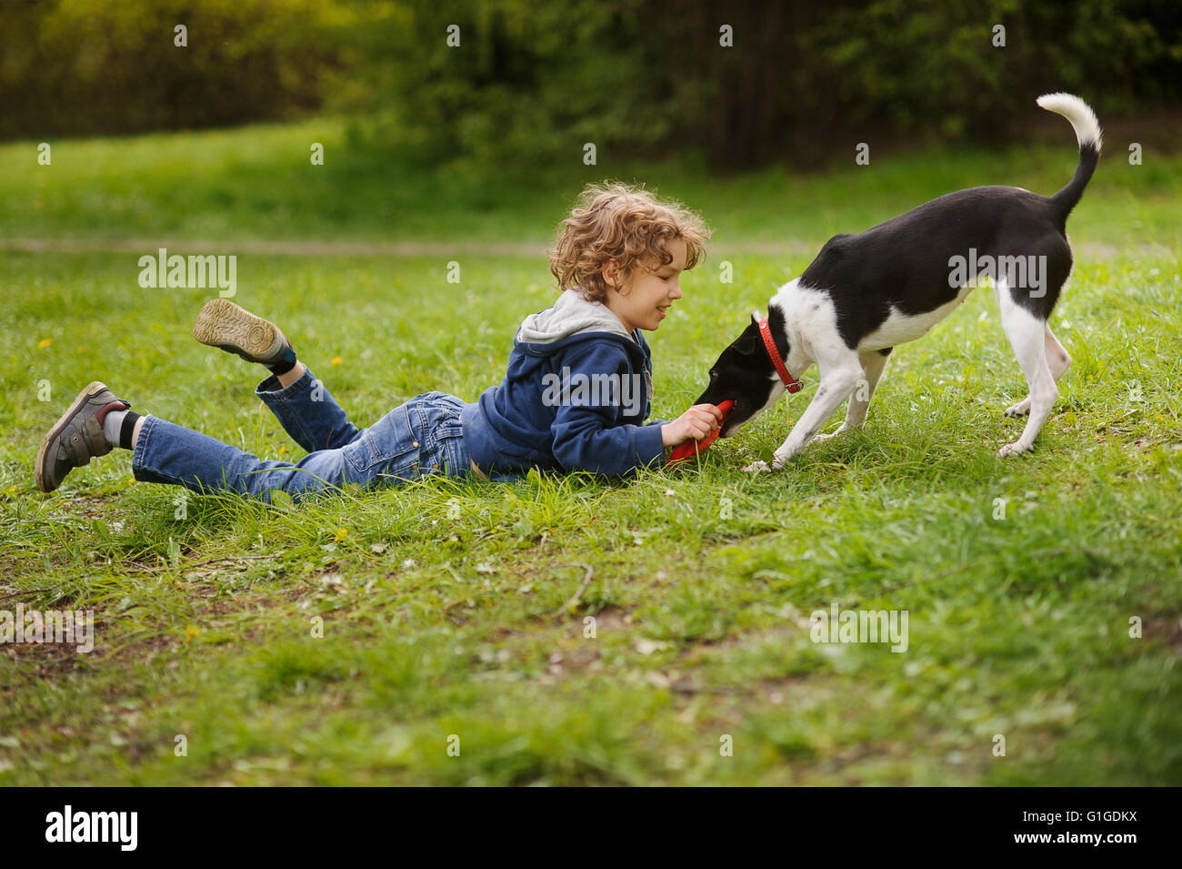 Little boy playing in the park with a dog Stock Photo - Alamy