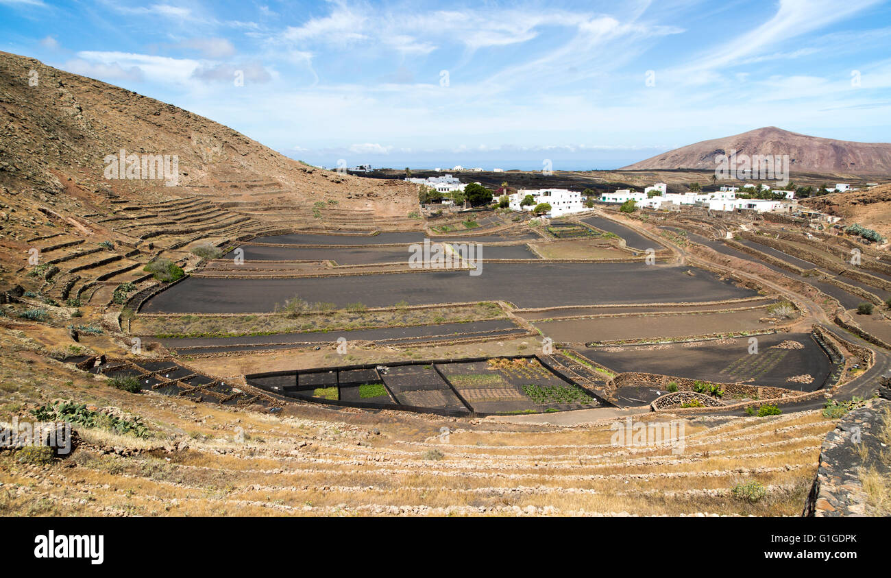Volcano crater and black volcanic soil farmland, near Tinajo, Lanzarote ...